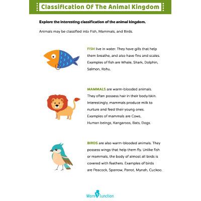 Animal Kingdom Classification Worksheet