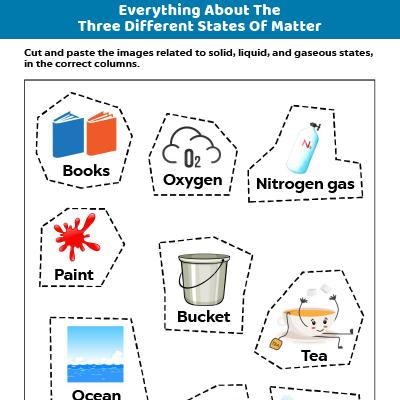 Solids Liquids And Gases Worksheets