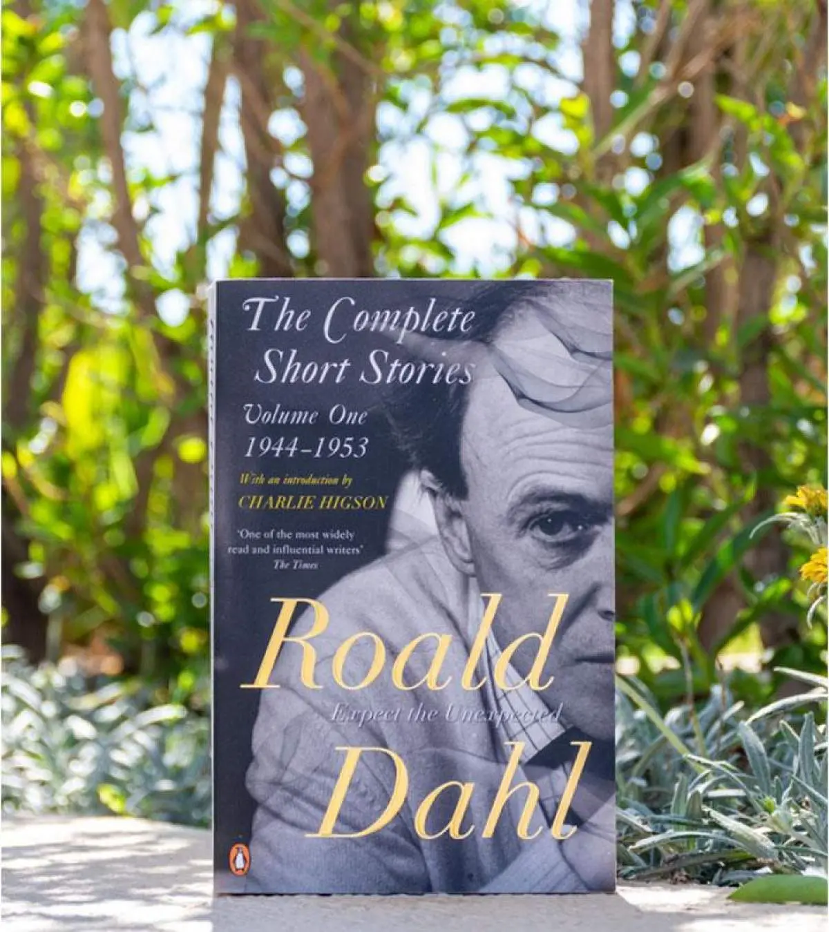 Roald Dahl Facts For Kids: 13 Intriguing, Fun Insights