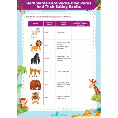 Omnivores Animals Chart For Kids Herbivores | Carnivores | Omnivores