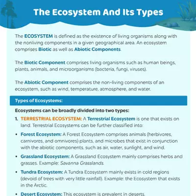 The Ecosystem And Its Types