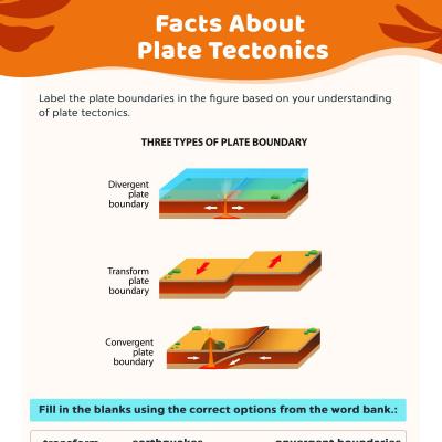 Plate Tectonics: Label The Plate Boundaries