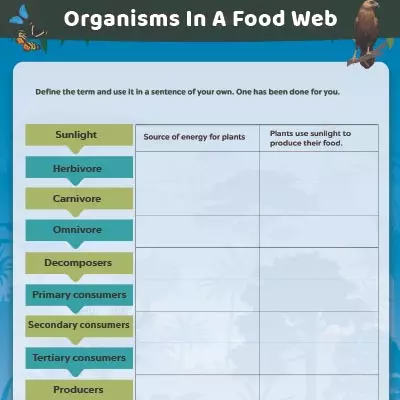 Interpreting The Food Web