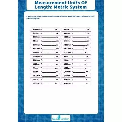Metric Prefix Worksheet Basics Of The Metric System And The Common