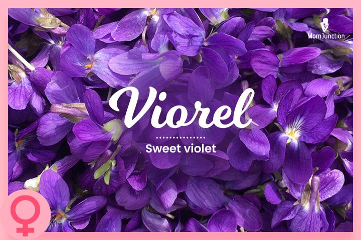 Names Of Dark Purple Flowers