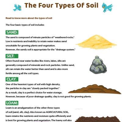 The Five Basic Layers of Soil Worksheet