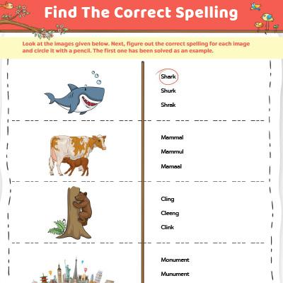 Find The Correct Spelling From The Options | MomJunction