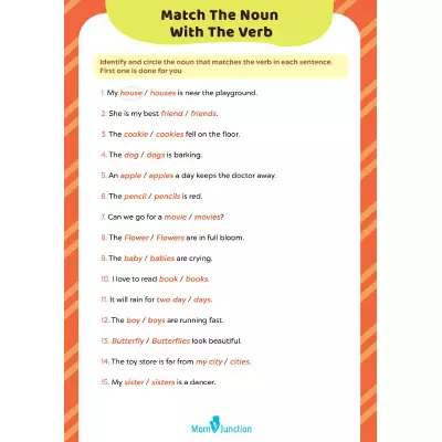 Identify And Match The Noun With Verb