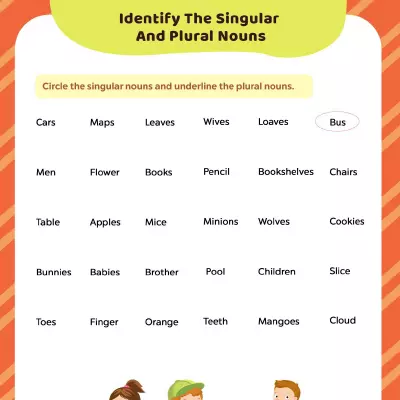 Identify The Singular & Plural Noun Forms