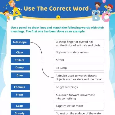 Match The Word With Correct Vocabulary