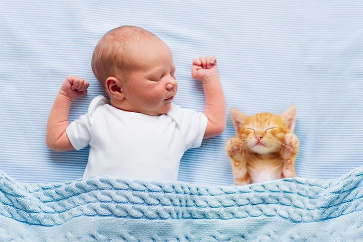 6 Tips To Deal With A Catnapping Baby - ParentsAndMore.com