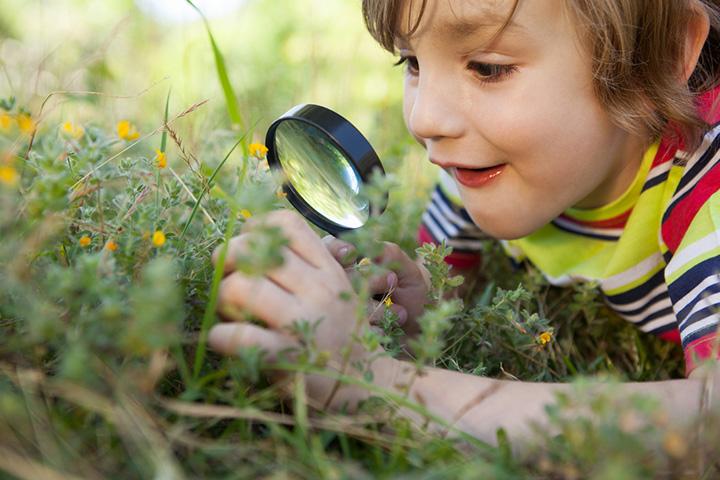20 Best Tips To Encourage Curiosity In Children