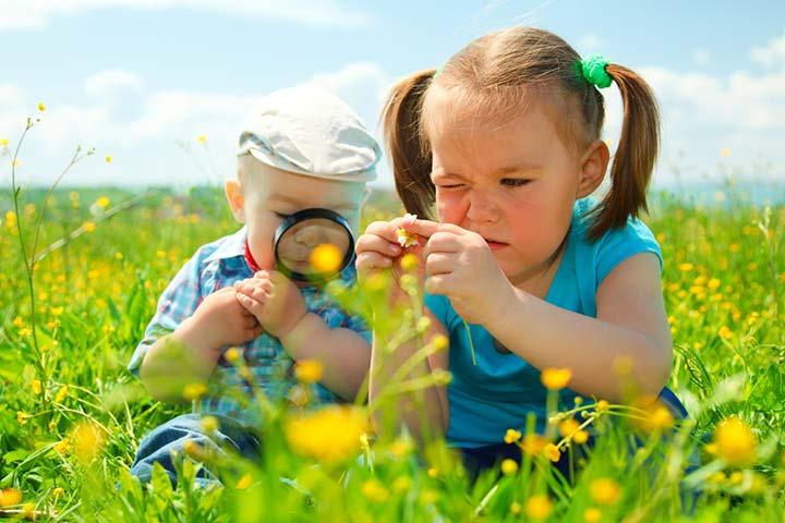 11 Facts, Functions, Pictures And Parts Of A Flower For Kids ...