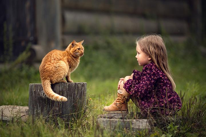 100+ Interesting Information And Facts About Cats For Kids ...