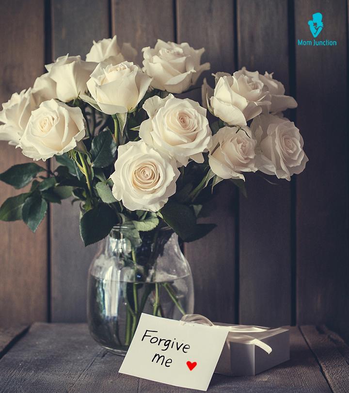 30+ Sample Apology Letters To Friends