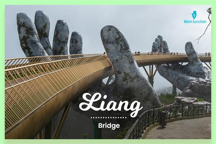 120 Popular Vietnamese Last Names Or Surnames, With Meanings