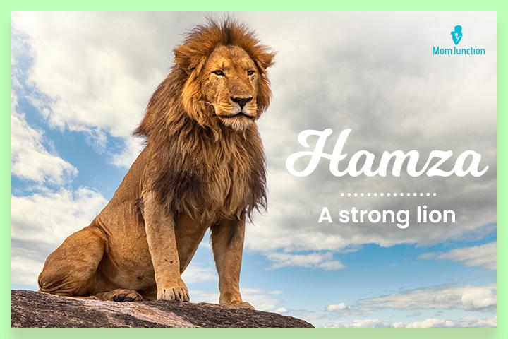 Hamza Name Beautiful Wallpapers