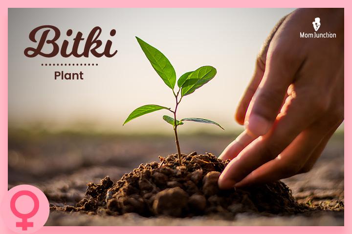 120 Baby Names That Mean Forest For Boys And Girls