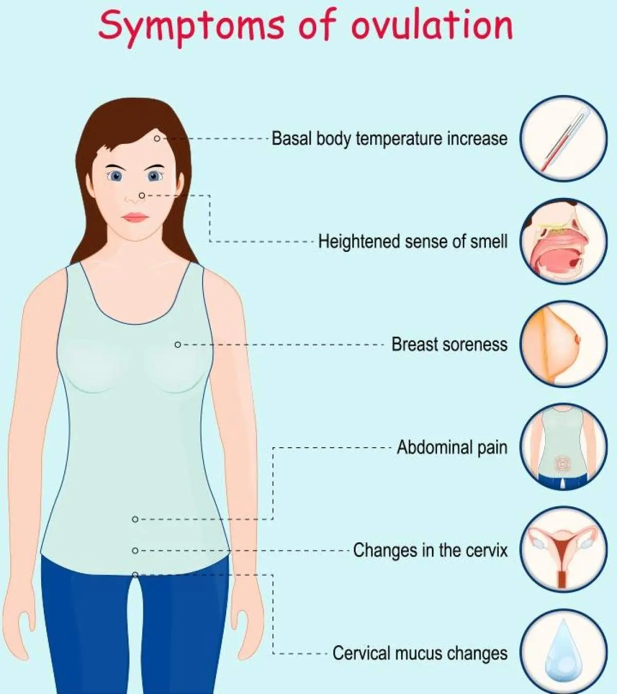 Signs Of Ovulation: 9 Key Symptoms & Testing Methods