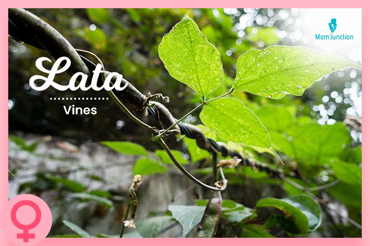 150 Hindu Vedic Names For Baby Girls, With Meanings