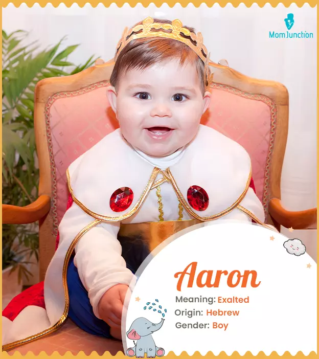 Aaron Name Meaning, Origin, History, And Popularity