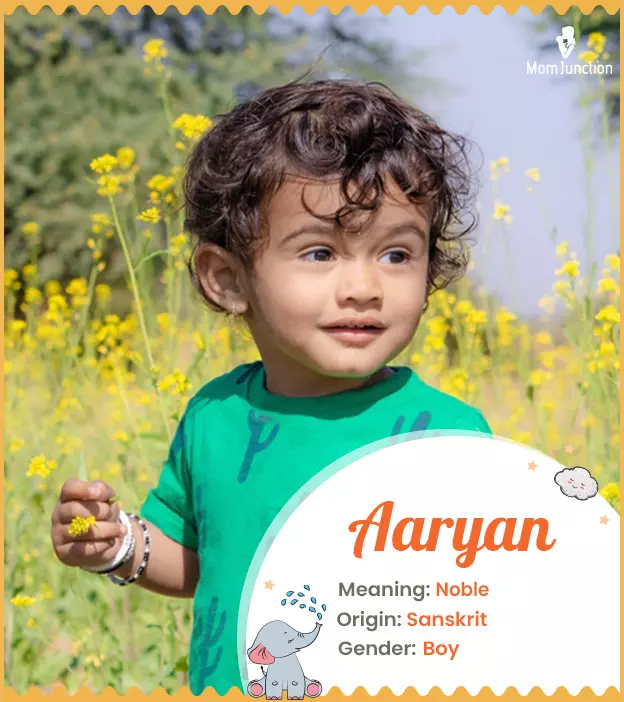 Aaryan Baby Name: Meaning, Origin, Popularity
