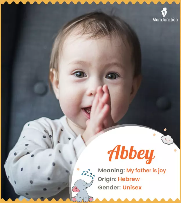Abbey Baby Name: Meaning, Origin, Popularity