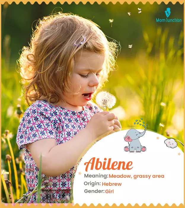 Abilene Name Meaning: Complete Guide To Origin & History Baby Name ...