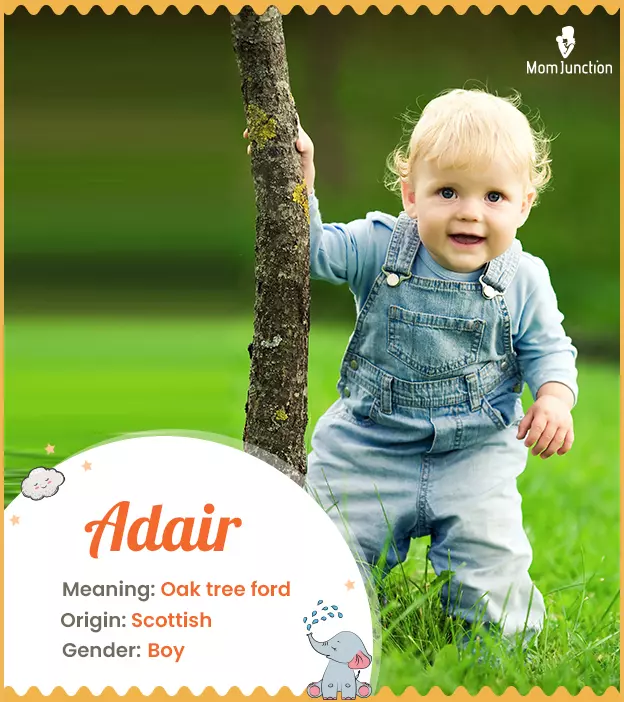 Adair Name Meaning, History, Origin And Popularity