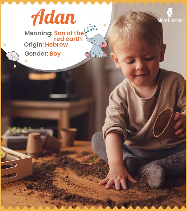 Adan Name Meaning: Origin, History, And Key Insights