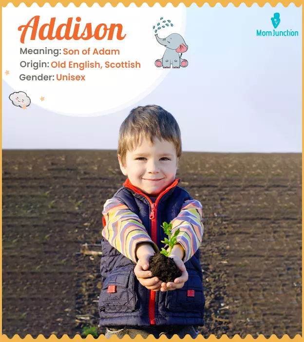 Addison Name Meaning, Origin, History, And Popularity