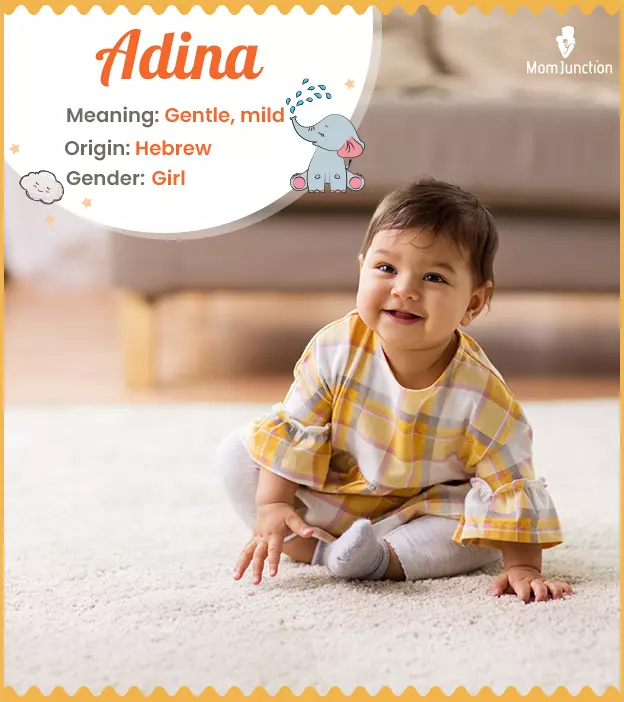 Adina Name Meaning, Origin & History: Complete Guide