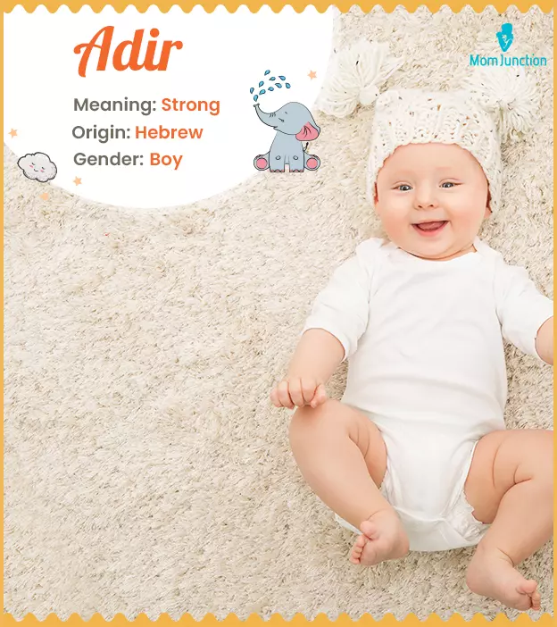 Adir Name Meaning, Origin, History, And Popularity