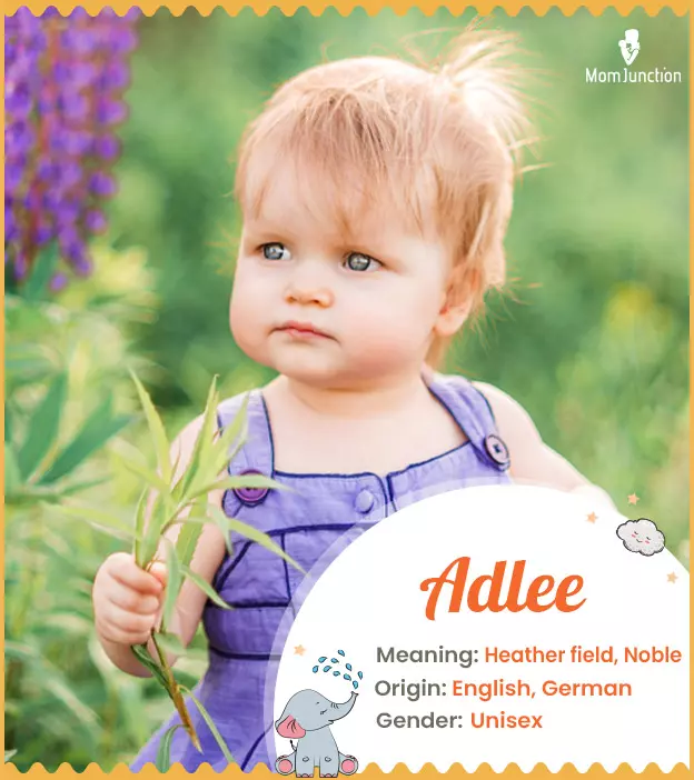 Adlee Baby Name: Meaning, Origin, Popularity