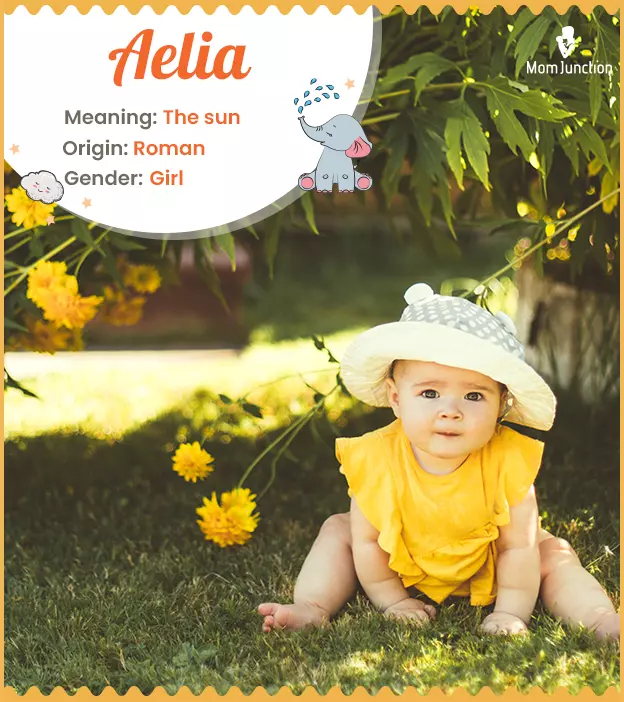 Aelia Baby Name Meaning, Origin, And Popularity Guide