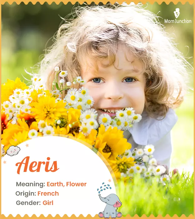 Aeris Name Meaning, Origin, History, And Popularity
