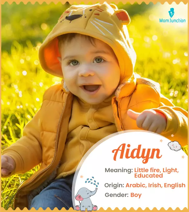 Aidyn Name Meaning, Origin, History, And Popularity