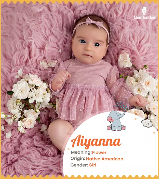 Aiyanna Name The Meaning Of Aiyanna Name Meanings