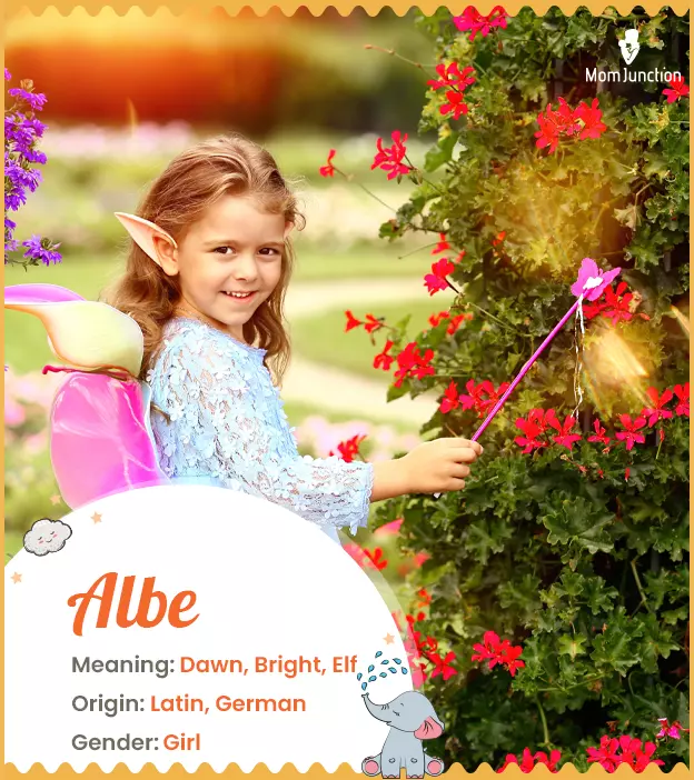 Albe Baby Name: Meaning, Origin, Popularity