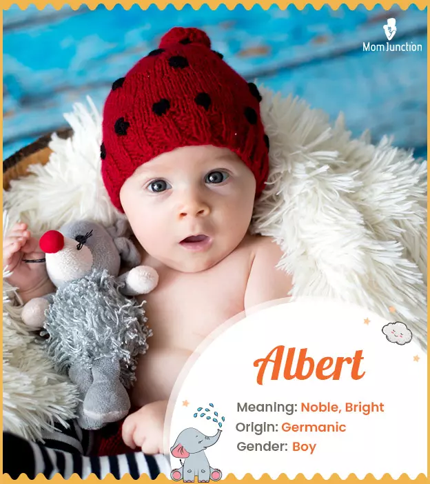 Albert Name Meaning And Origin: A Complete Popularity Guide