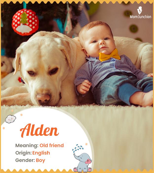 Alden Name Meaning, Origin, History, And Popularity