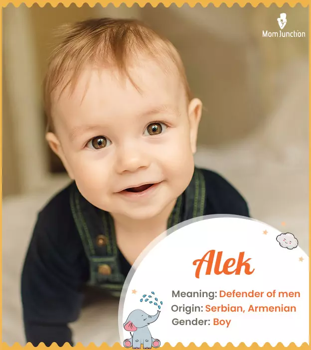 Alek Baby Name: Meaning, Origin, Popularity