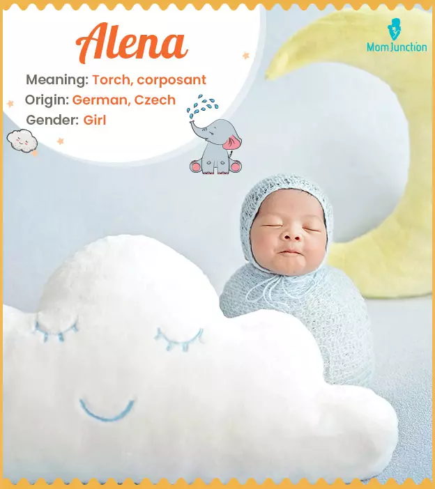 Alena Name, Meaning, Origin, History, And Popularity