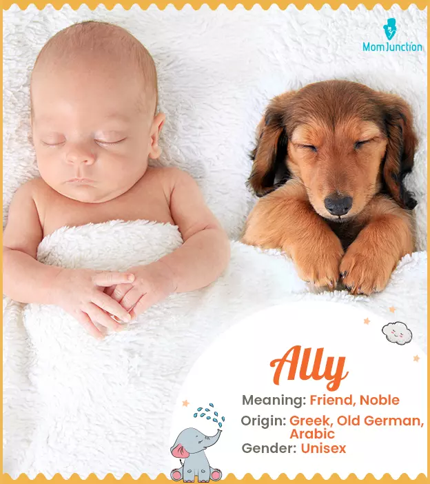 Ally Name Meaning, Origin, History, And Popularity