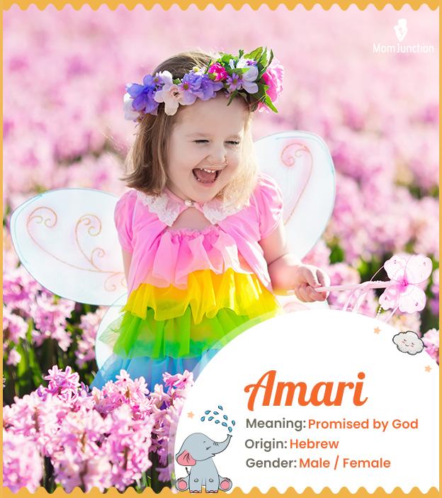 Amari Name, Meaning, Origin, History, And Popularity