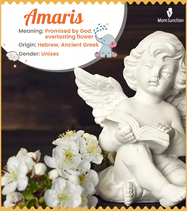 Amaris Name, Meaning, Origin, History, And Popularity