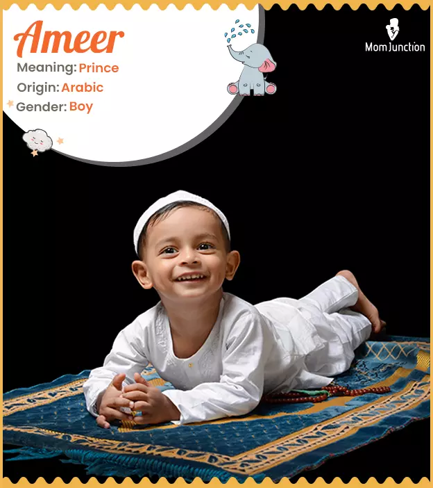 Ameer Name Meaning: Comprehensive Guide To Origin & Popularity Baby ...