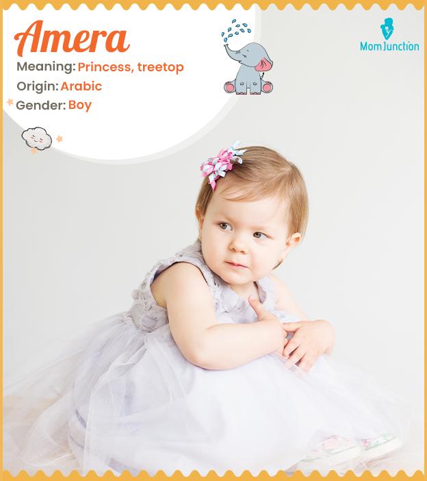 Amera Name Meaning, Origin, History, And Popularity