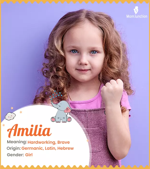 Amilia Name Meaning And Origin: A Comprehensive Guide