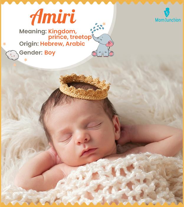 Amiri Name Meaning, Origin, History, And Popularity